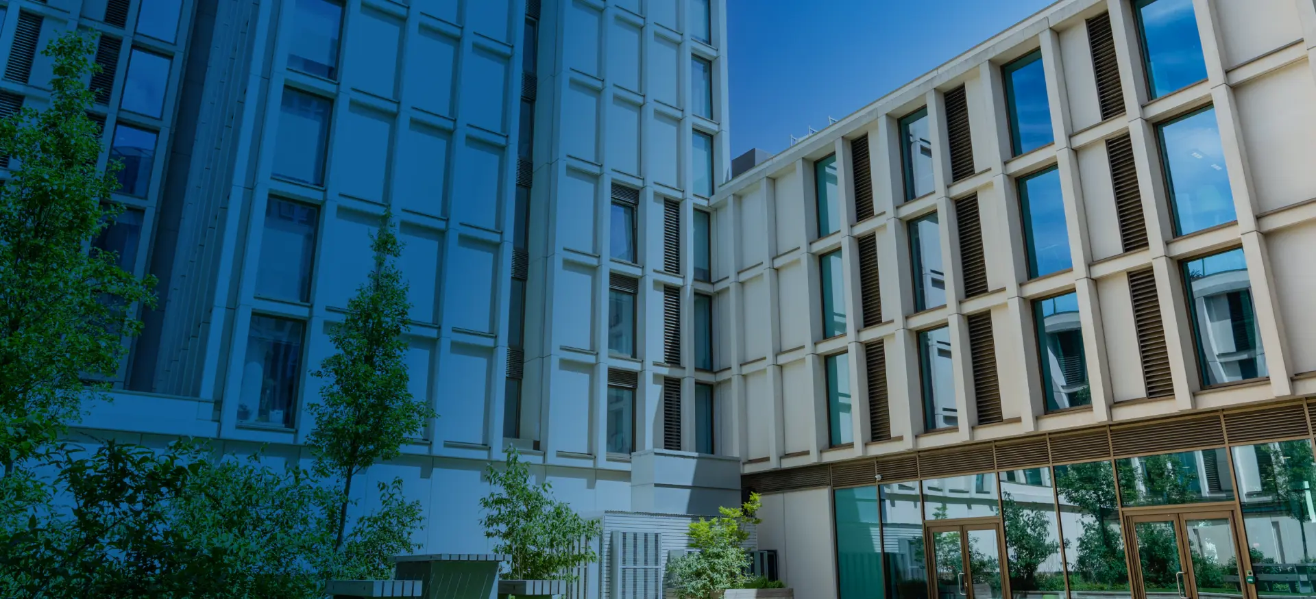 Gedu Services Pvt. Ltd.